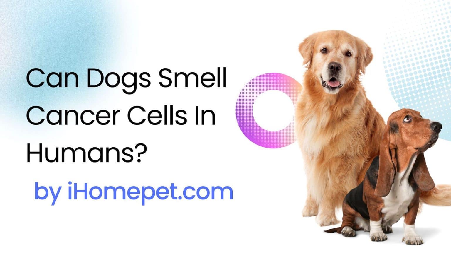 Can Dogs Smell Cancer Cells In Humans? - iHomePet