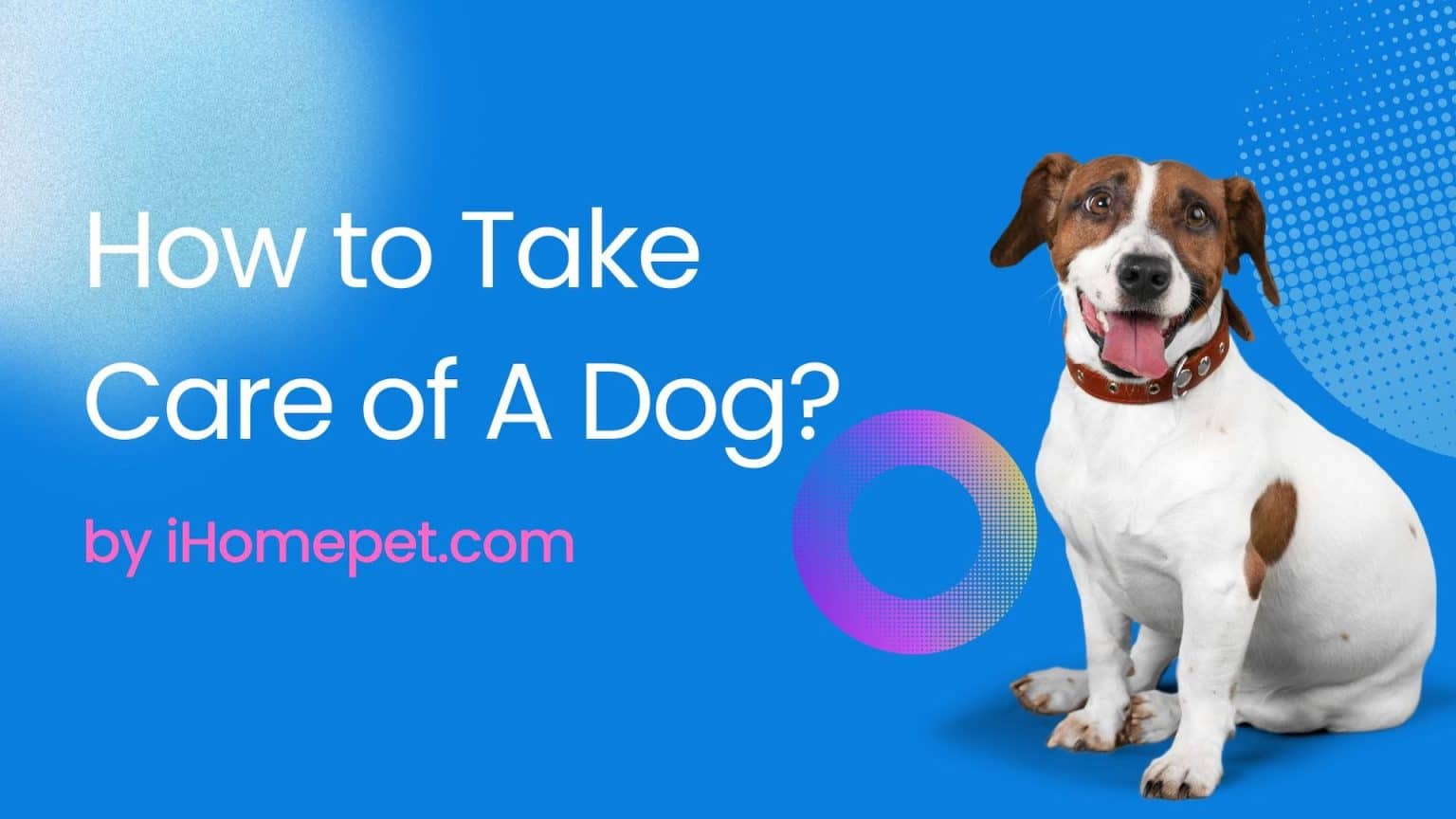 How To Take Care A Dog? - Keep Your Pet Healthy As Dog Owners