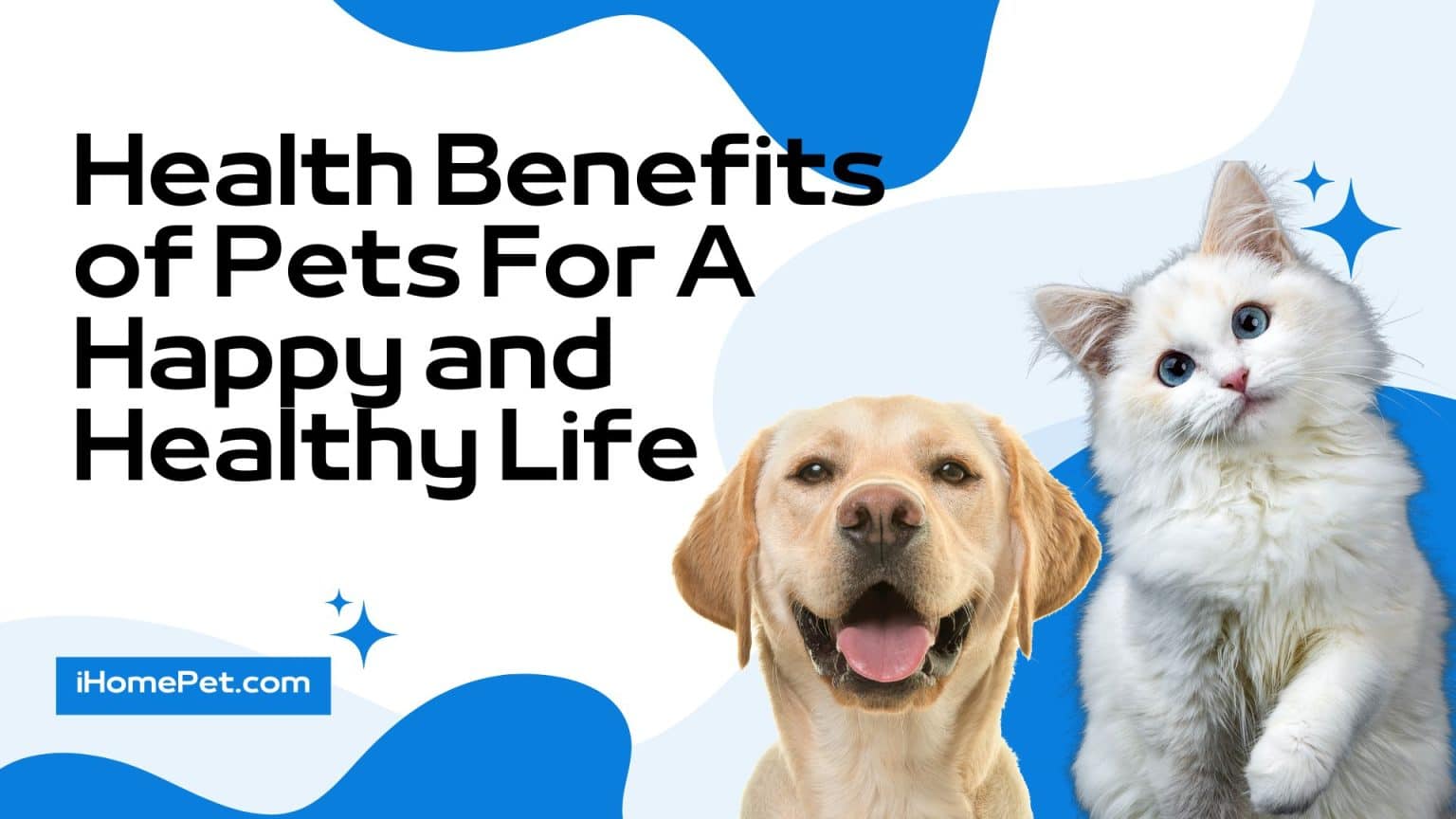 Health Benefits of Pets - Living A Happy And Healthy Life - iHomePet