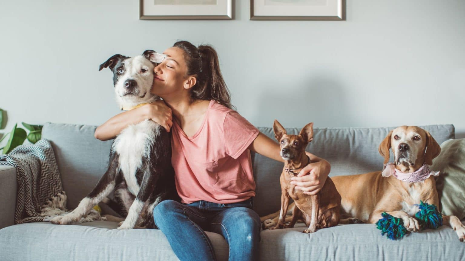 Health Benefits of Pets - Living A Happy And Healthy Life - iHomePet