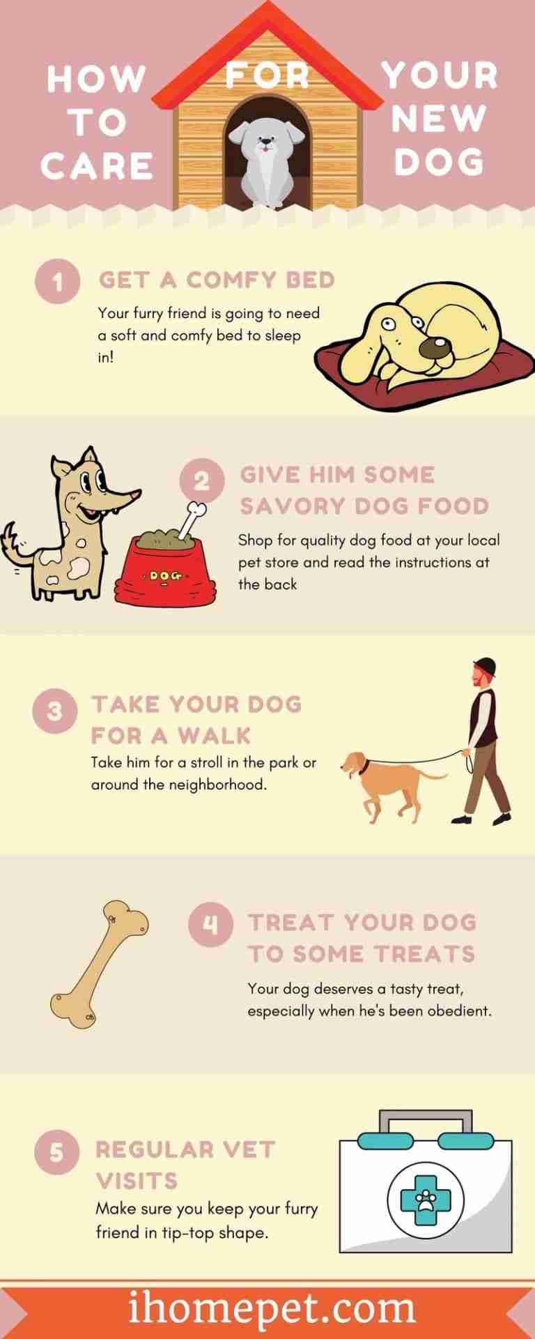 Infographic How To Care For Your New Dog The Easy Way Infographic How To Care For Your New Dog The Easy Way