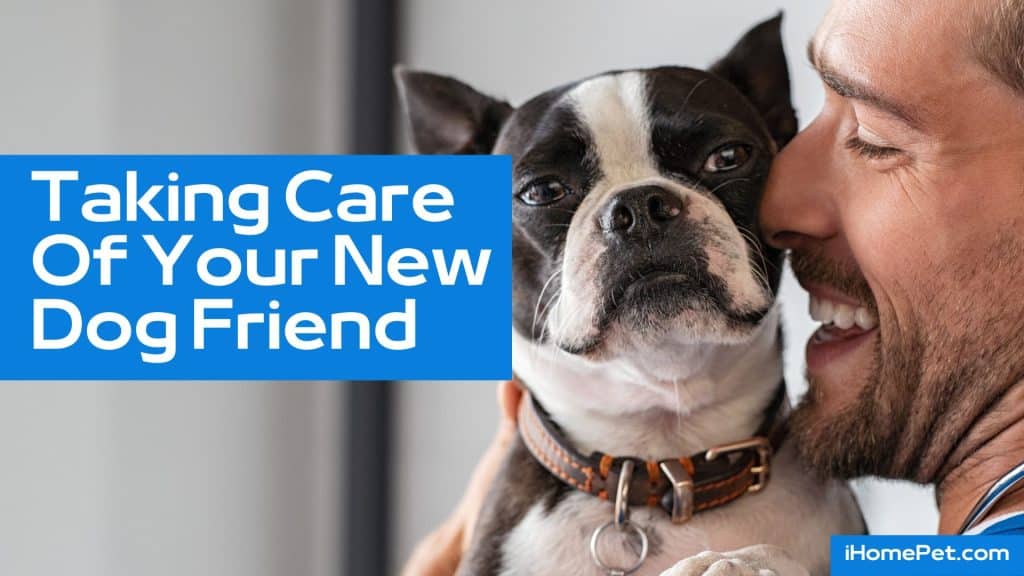 Ultimate Guide to Taking Care of a Dog: Tips for New Pet Parents