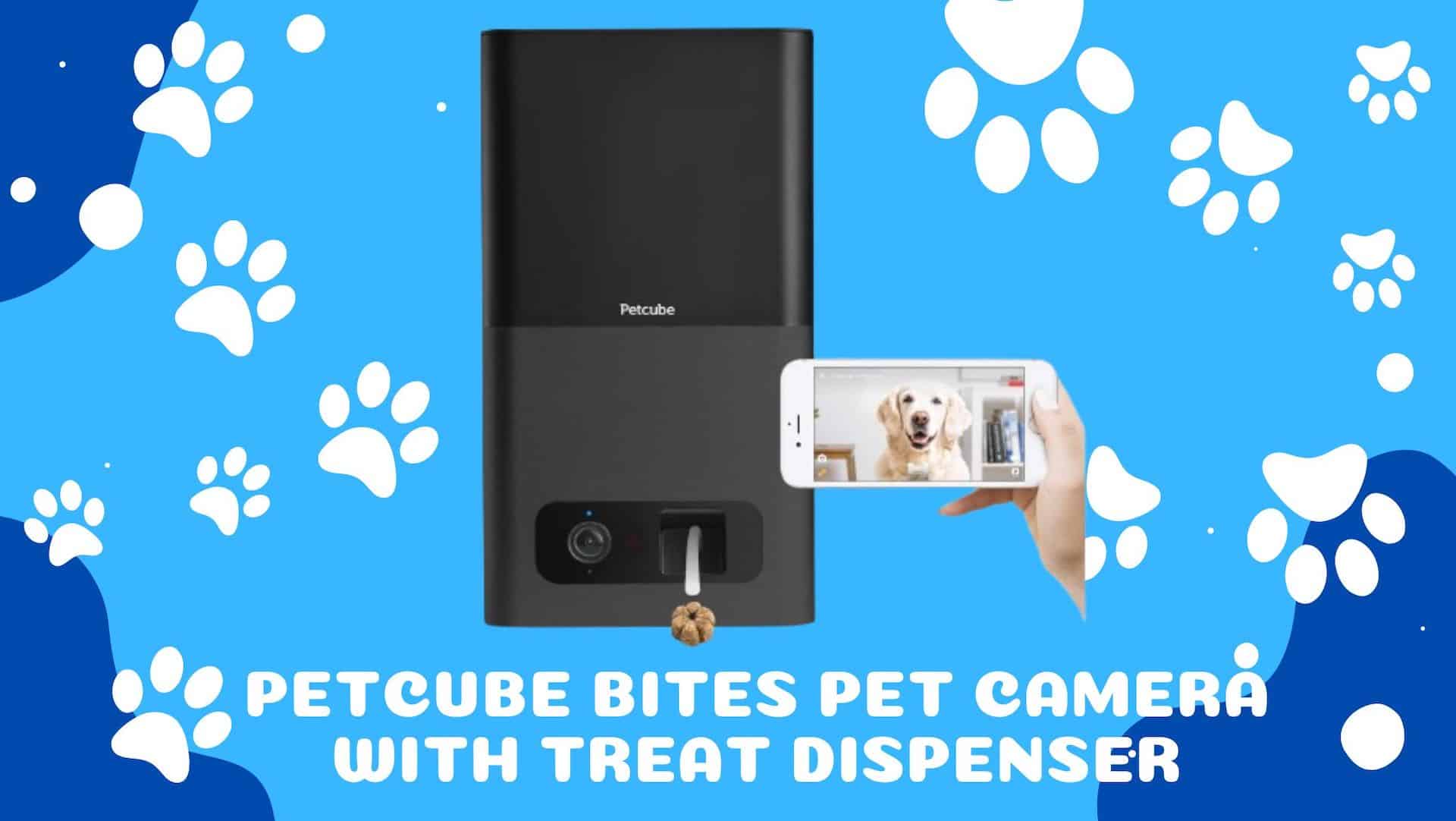 Petcube Bites Pet Camera with Treat Dispenser Review - iHomePet
